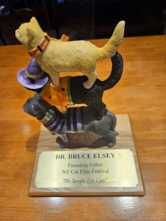 Cats Everywhere Should Thank Dr. Elsey - Tracie Hotchner Pets