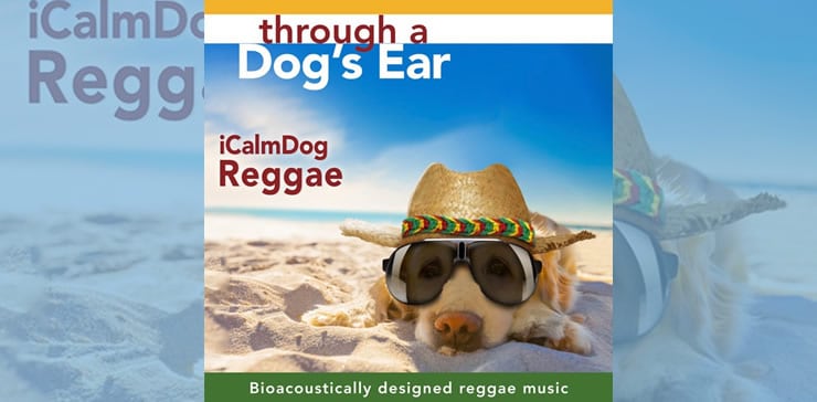 Gorgeous Reggae Music for Dogs (and Us!) During COVID-19 - Tracie ...